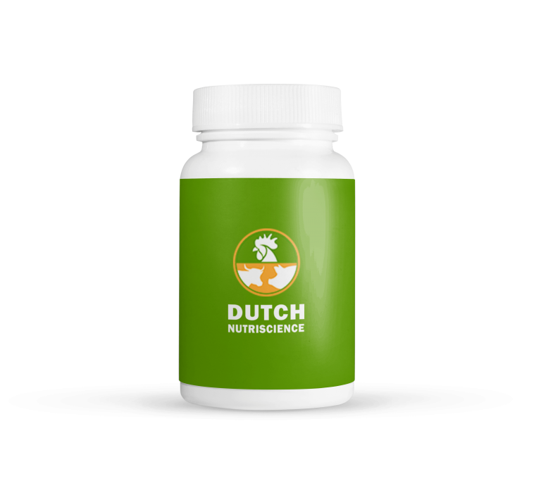 Dutch Nutriscience – provide leading wide range of innovative