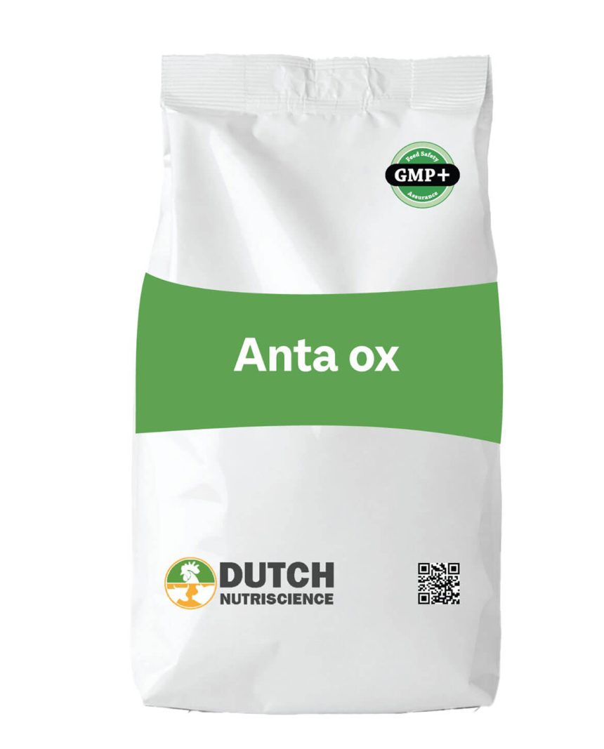 Dutch Nutriscience – provide leading wide range of innovative