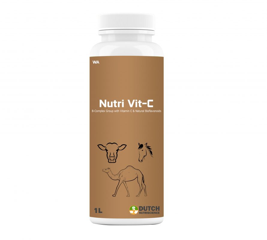 Nutri Start – Dutch Nutriscience