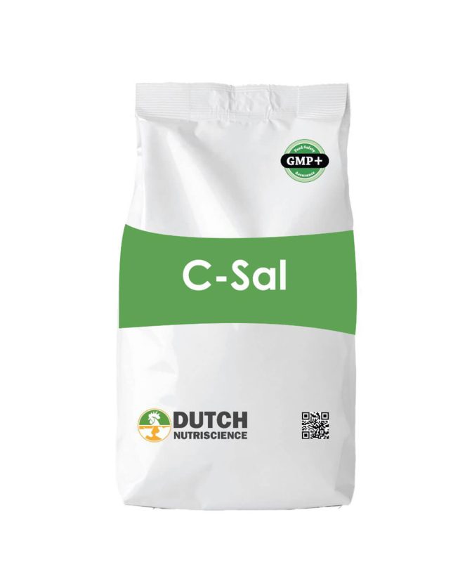 Products – Dutch Nutriscience